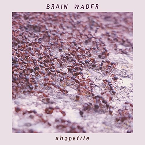 Amazon.co.jp: Shapefile [Explicit] : Brain Wader: デジタルミュージック