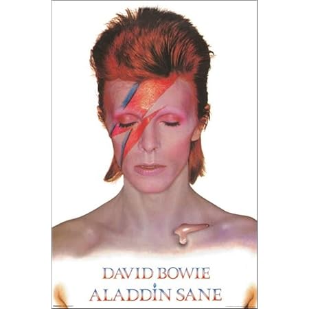 Amazon.com: Music Legends Posters: David Bowie - Aladdin Sane - 91 ...