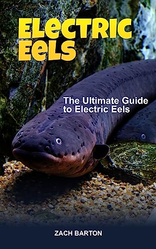 Electrifying Electric Eels