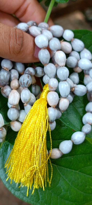 Real Earth Gems Vaijayanti Mala Original 108 Beads Japa Mala ...