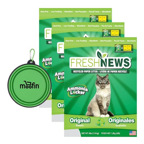 Paper Cat Litter – The 15 best products compared - Wild Explained