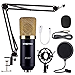 Amazon.com: ZINGYOU Condenser Microphone Bundle, ZY-007 Professional ...