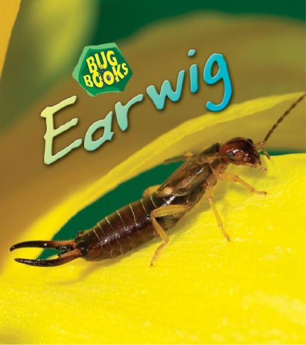 Earwig (Bug Books): St Pierre, Stephanie: 9781432912505: Amazon.com: Books