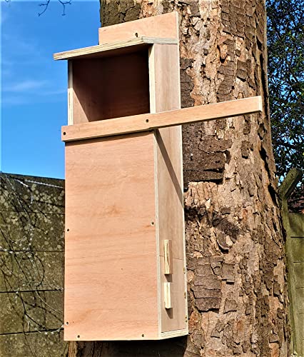 Owl Nesting Box - Conservation Nesting Box For Tawny Owls : Amazon.co ...