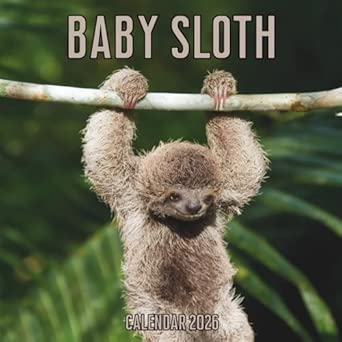 Baby Sloth Calendar 2026: 14-Month Organizer from Nov 2025 to Dec 2026 ...