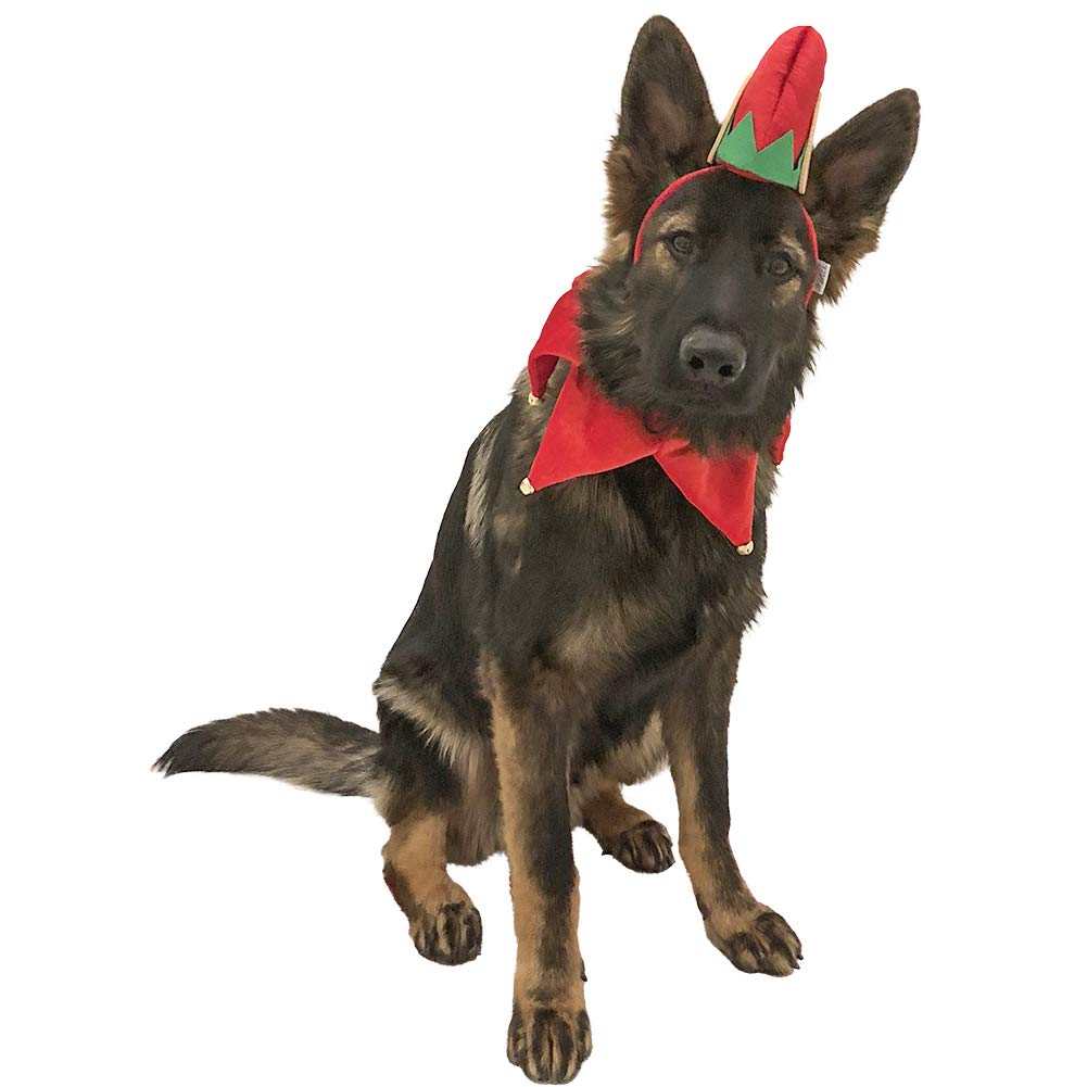 Amazon.com : Midlee Elf Dog Hat with Bell Neck Band Dog Costume : Pet ...