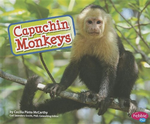 Capuchin Monkeys (Pebble Plus): McCarthy, Cecilia Pinto: 9781620651087 ...