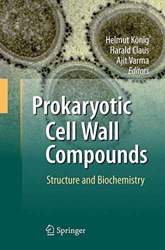 Prokaryotic Cell Wall Compounds: Structure and Biochemistry (2014-11-14 ...