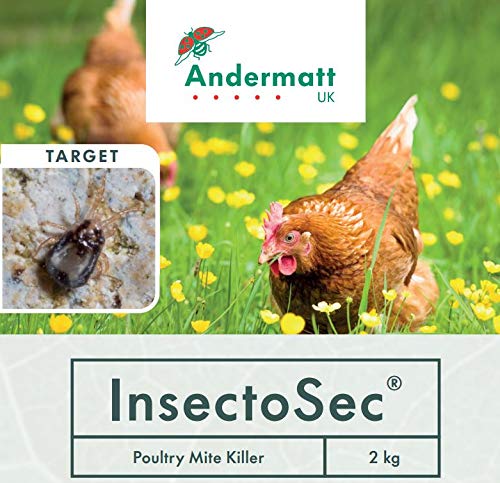 InsectoSec® Chicken Mite Powder 2Kg – UK Approved Chicken Mite ...