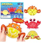 Amazon.com: Autism Sensory Toys for Kids - 3 Pack Fidget Toy Sensory ...