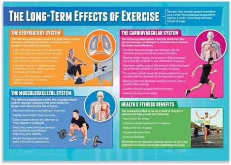 Physical Education Poster The Benefits of Exercise for Students Health ...