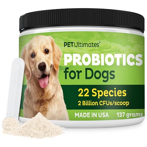 Probiotics for Dogs - How Do They Work And Which Are The Best?