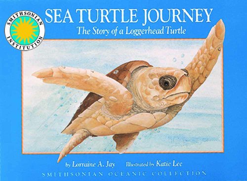 The Best Sea Turtle Life Cycle Books for Kids to Read and Learn