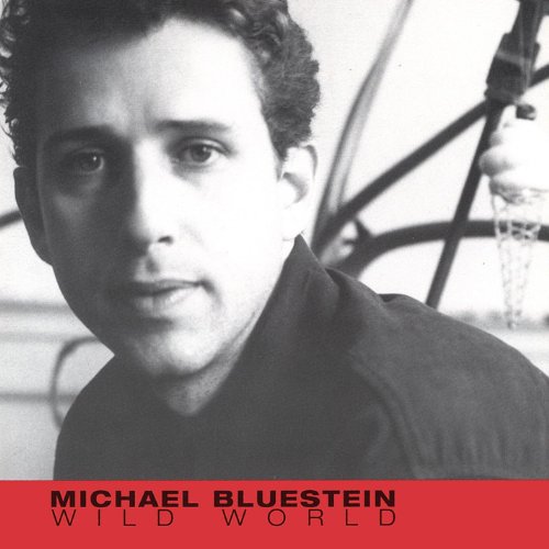Amazon.com: Wild World : Michael Bluestein: Digital Music