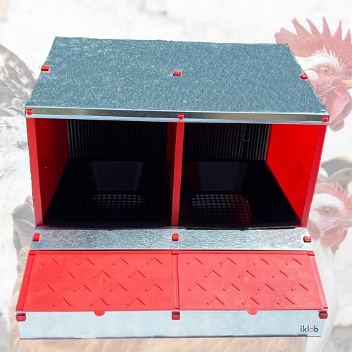 Les dimensions et tailles d'un pondoir pour poules
