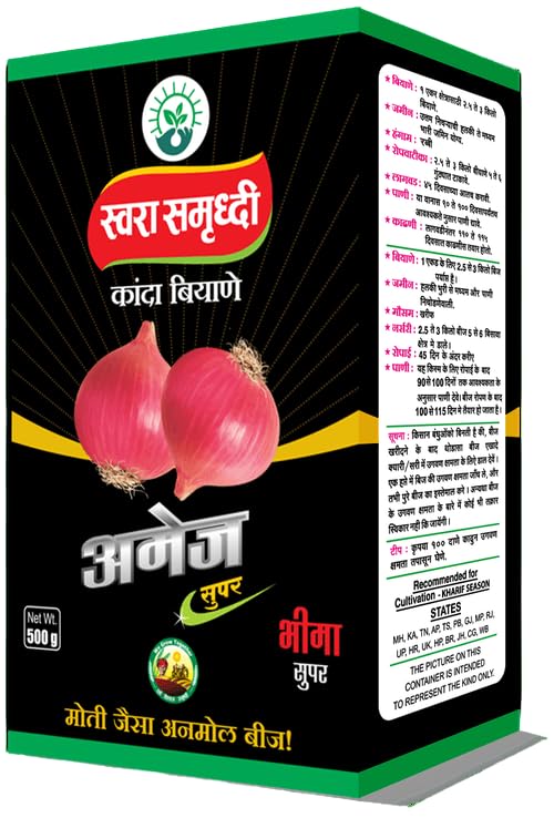 Amaze Super (Bhima Super) | Onion seeds (500gms) : Amazon.in ...