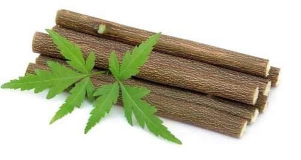 DivineCount Neem Datun 10 sticks with free 5 : Amazon.in: Health ...