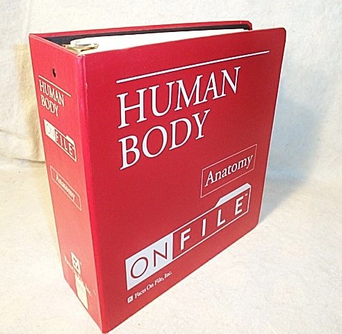The Human Body on File: Anatomy: Diagram Group: 9780816035274: Amazon ...