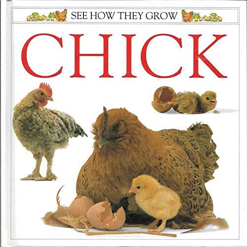 See How They Grow: Chick (See How They Grow Series): Amazon.co.uk: Jane ...