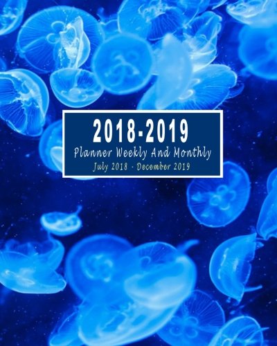 2018 - 2019 Planner Weekly And Monthly - July 2018 - December 2019: Two ...