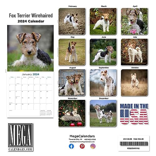 Snapklik.com : Fox Terrier Calendar 2024 - Dog Breed Wall Calendar
