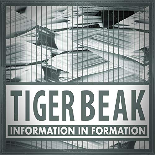 Play Information In Formation by Tiger Beak on Amazon Music