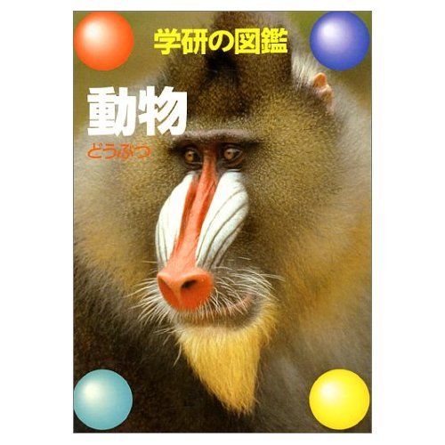 Amazon.com: (Picture book of Gakken) animal ISBN: 4052000978 (1993 ...