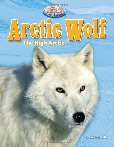 Arctic Wolf: The High Arctic (Built for the Cold: Arctic Animals ...
