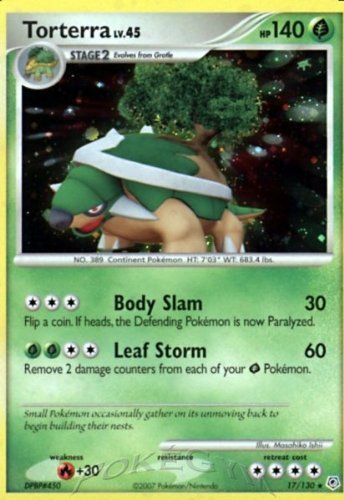 Torterra Pokemon