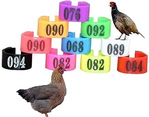 Gerrit Bird Identification Ring Pigeon Bird Leg Ring 8mm/10mm/12mm/14mm ...