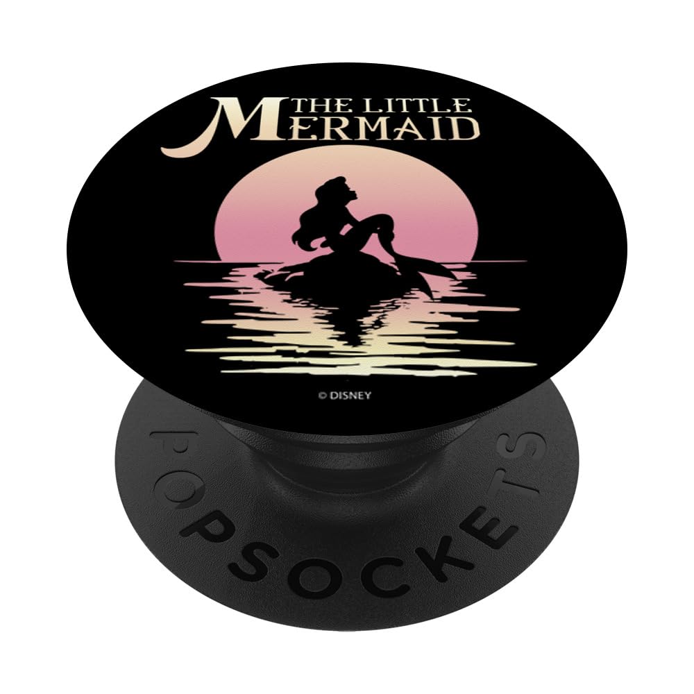 Ariel On Rock Silhouette