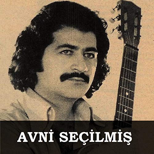 Amazon.co.jp: Bir Yaz Akşamı : Avni Seçilmiş: デジタルミュージック