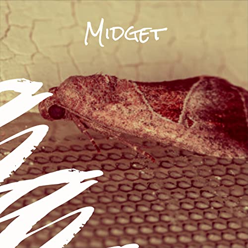 Amazon.com: Midget : VARIOUS ARTISTS: Digital Music