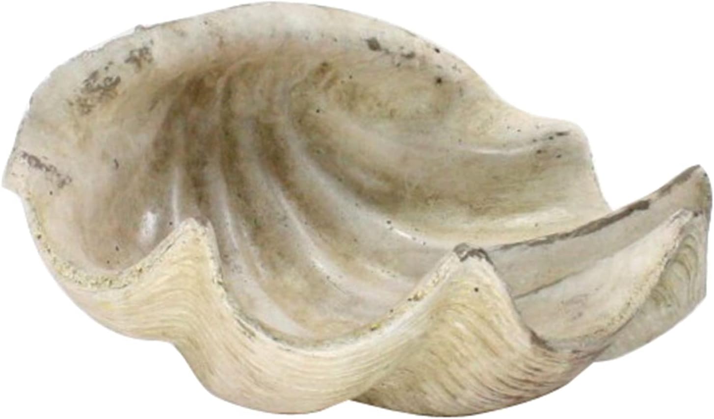 Amazon.com - HomArt Cement Cast Clam Shell - Antique White … (1)