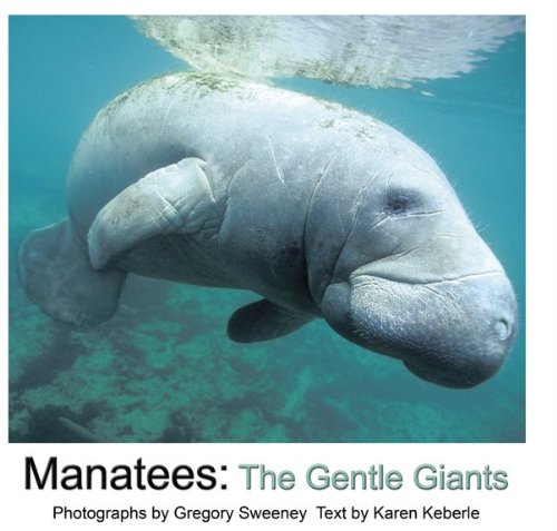 Amazon.com: Manatees: The Gentle Giants: 9780977287307: Sweeney ...