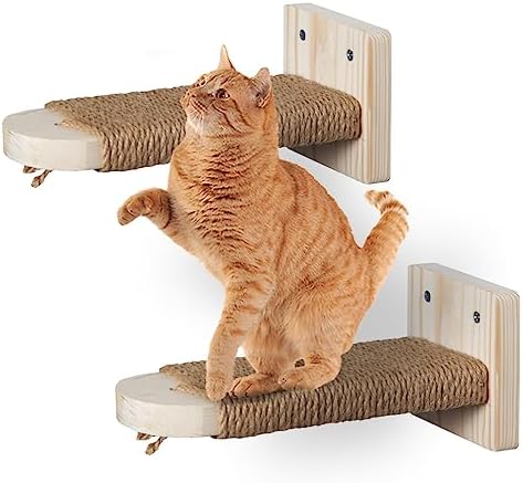 Amazon.com : AntFort 2 Pack，Cat Climbing Stairs Shelf Wall Mounted, Cat ...