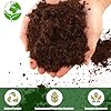Amazon.com : ZENFUN 10lbs Coco Coir Organic Brick for Plants, 100% ...