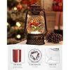 Amazon.com: Christmas Snow Globes Cardinal Gifts,Christmas Decorations ...