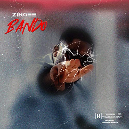 Bando de Zingee en Amazon Music Unlimited
