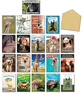 Amazon.com : Leanin' Tree, Best Wishes, 20 All Occasion Cards ...