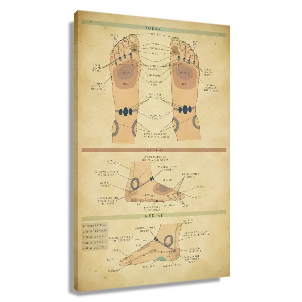 Reflexology For Lymph Nodes