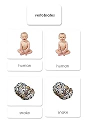What Are Montessori 3 Part Cards?
