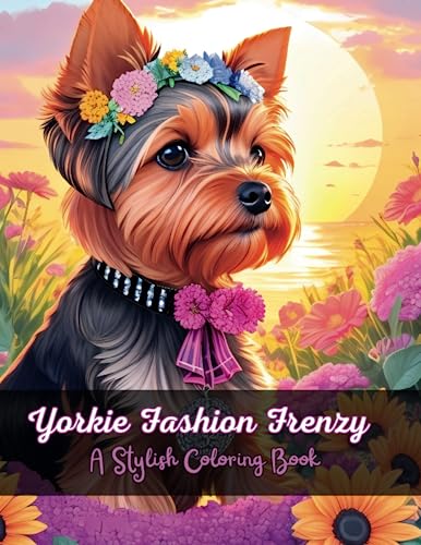 10 Must-Have Products for Your Old Yorkie: A Review and Buying Guide ...
