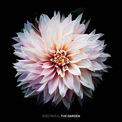 Amazon.com: The Garden : Substantial: Digital Music