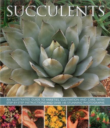 Succulents: An illustrated guide to varieties, cultivation and care ...