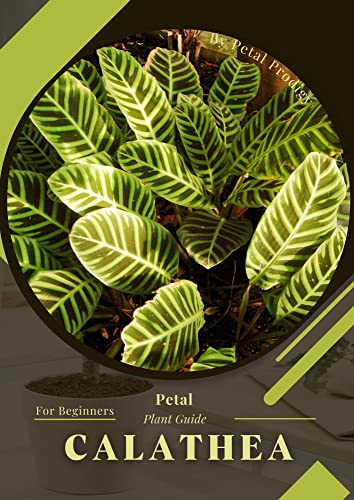 Amazon.com: Calathea: Prodigy Petal, Plant Guide eBook : Prodigy, Petal: Kindle Store