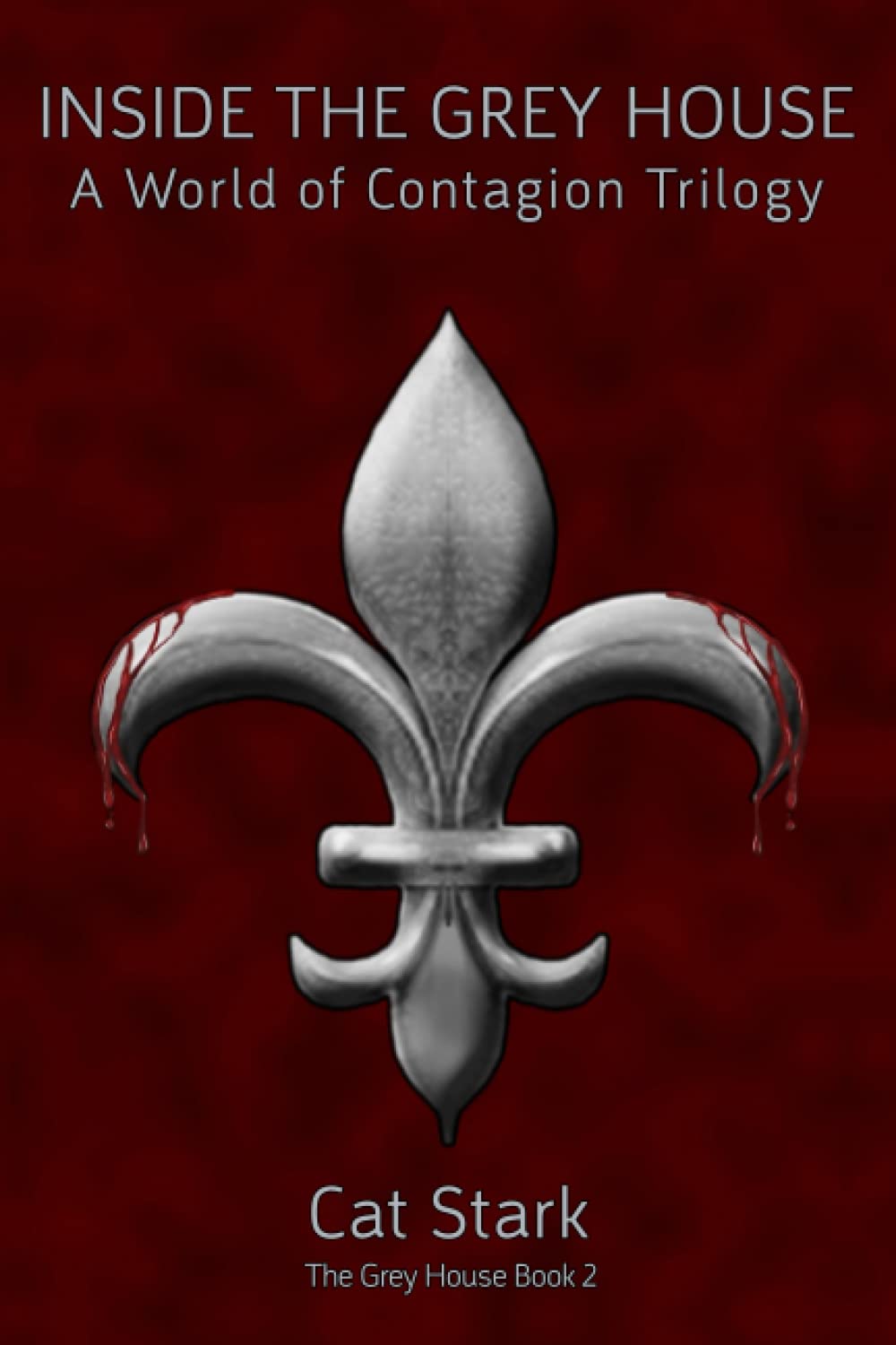 Amazon.com: Inside the Grey House: 9781733398510: Stark, Cat: Books