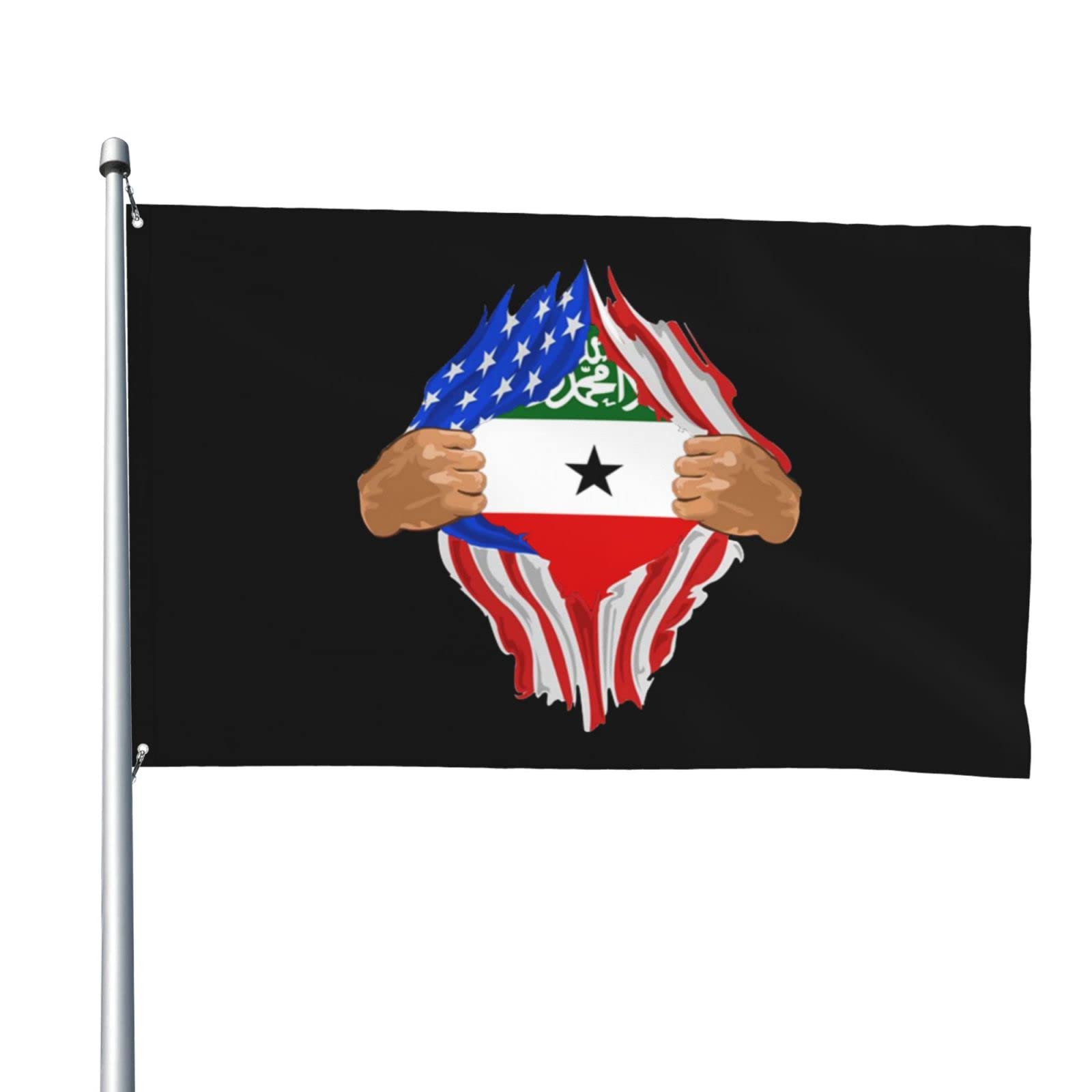 Somaliland Flag Waving