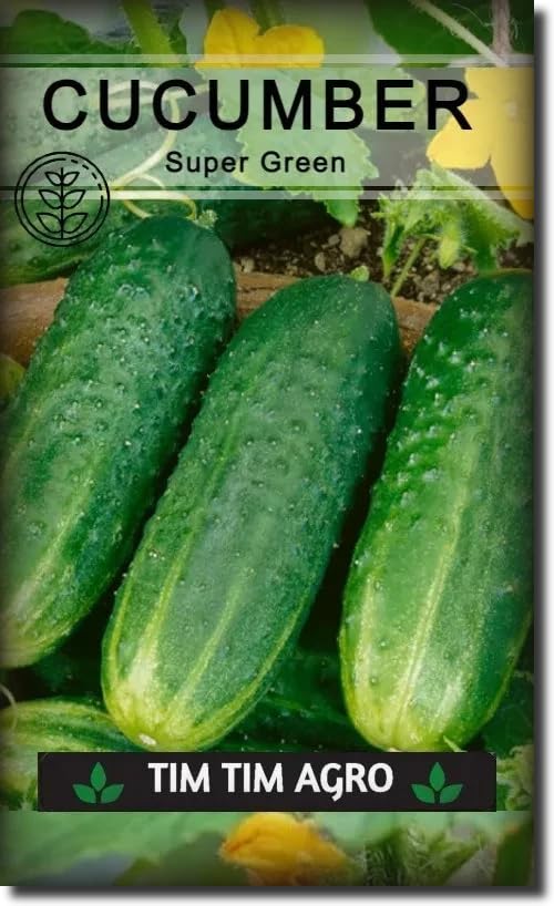 Cucumber Desi Seeds - 50g Packet - For Your Garden, Vegetable Gardening ...