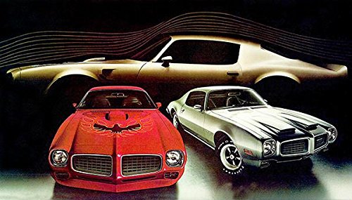 Amazon.com: 1973 Pontiac Firebird #2 - Promotional Advertising Poster ...